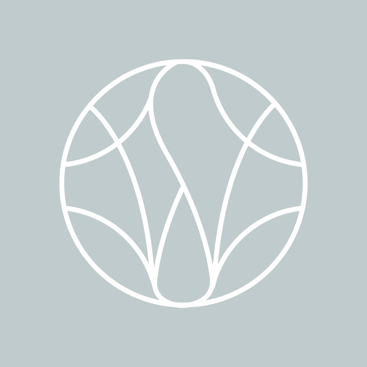 Treatment for Skin Laxity - Wunderskin – Wunderskin PH